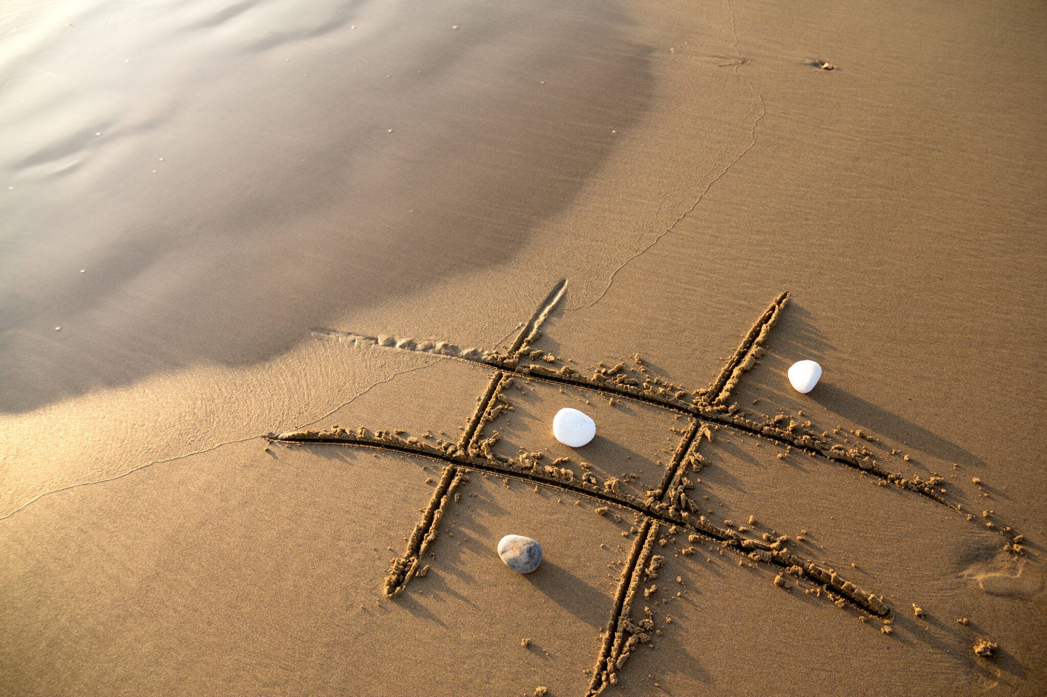 Our Services | Auracle World